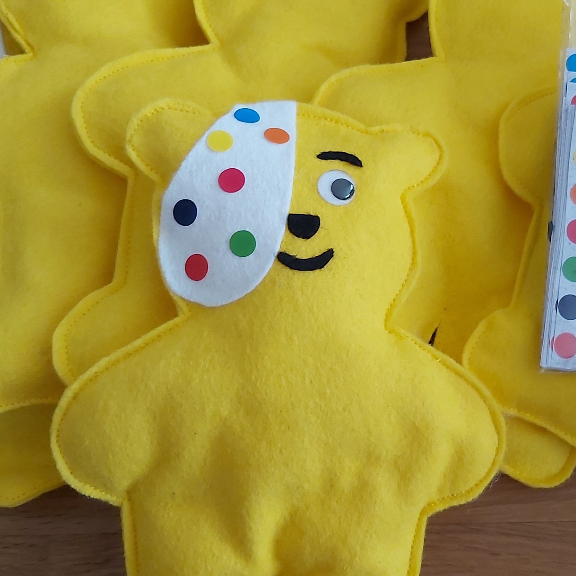 Pudsey Bear Lookalikes - Warwickshire Young Carers Project
